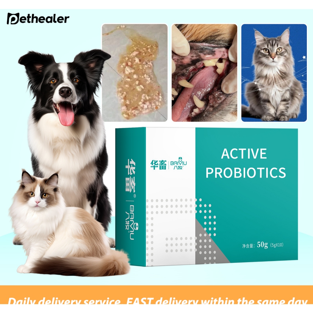 Probiotik untuk Kucing & Anjing - Sokong Sistem Penghadaman & Imuniti ...