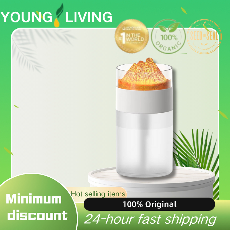 Young Living Desktop Fireplace-Style Humidifier | Warm and Cool Mist ...