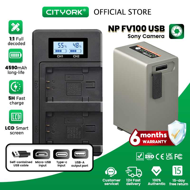 Cityork NP-FV100 FV30 FV50 FV70 FV90 2250mAh USB Battery + LCD Dual Charger For Sony Camera MC88 ...