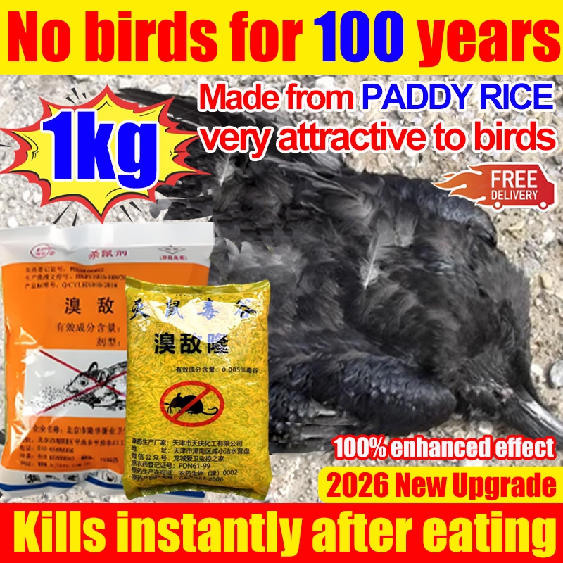 【No birds for 100 years】racun burung bird killer 500g Bird repellent ...