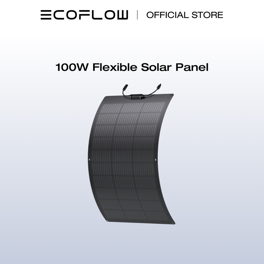 EcoFlow 100W Flexible Solar Panel, High-Efficiency Modules, IP68 ...