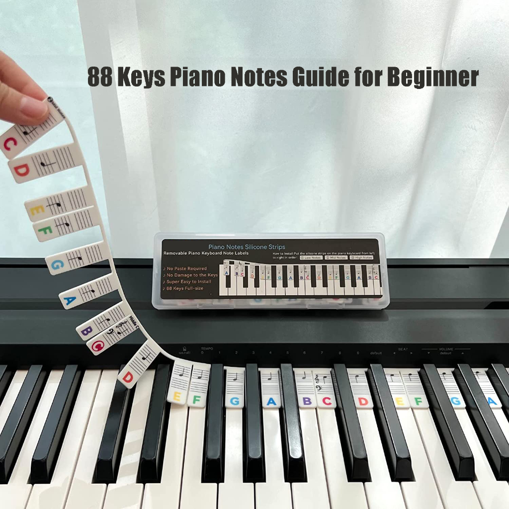 Piano Notes Guide For Beginner, Removable Piano Keyboard Note Labels ...