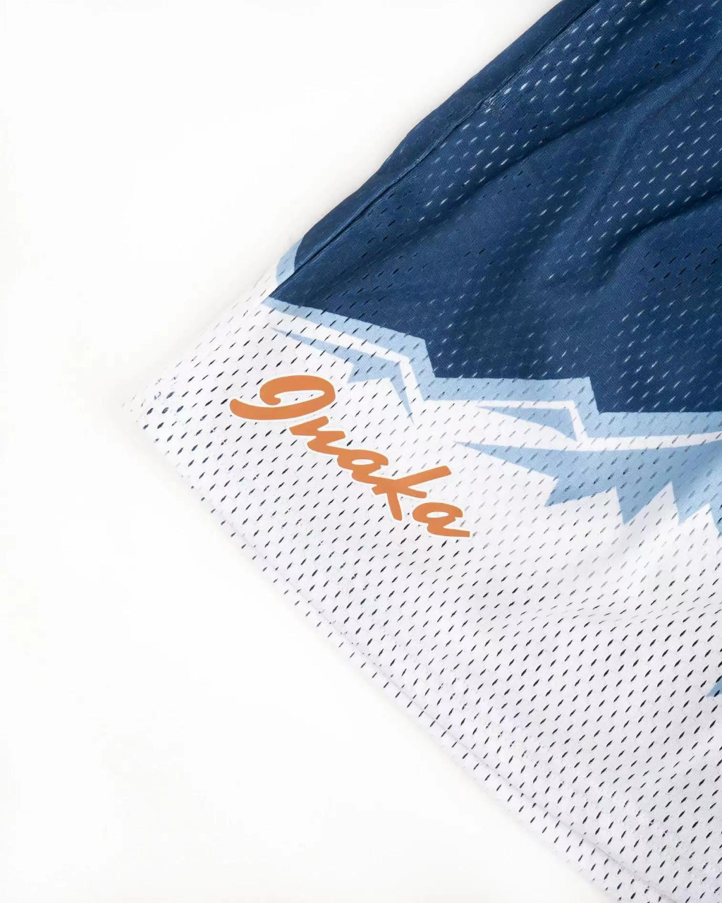 Inaka Mesh Shorts 2023 Men Women Classic GYM Mesh Shorts Inaka Power ...