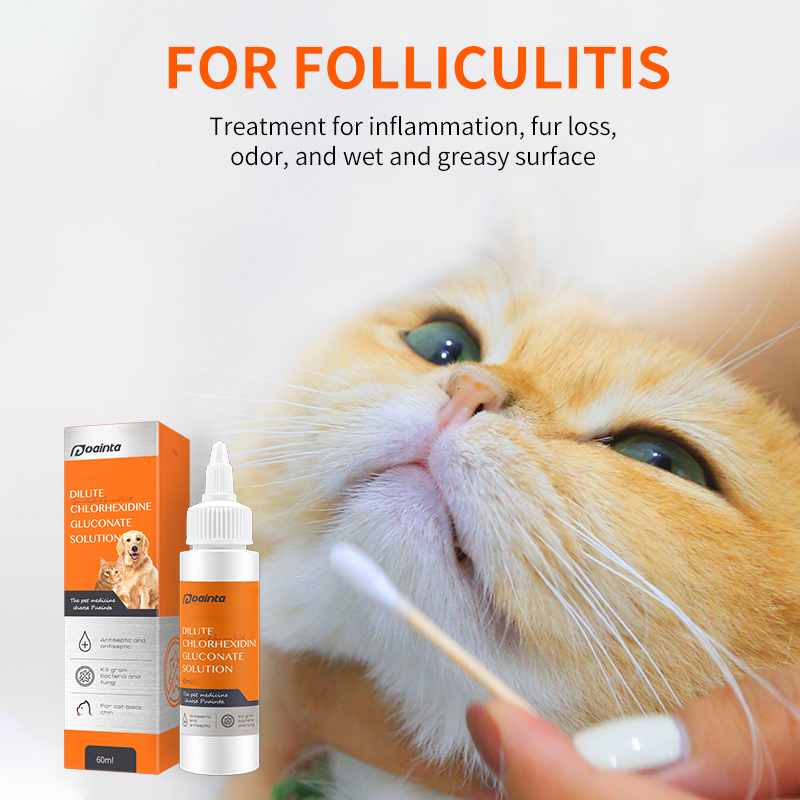 PUAINTA Black Chin Cleanser For Cat Cleaning Greasy Oily Tail Feline ...