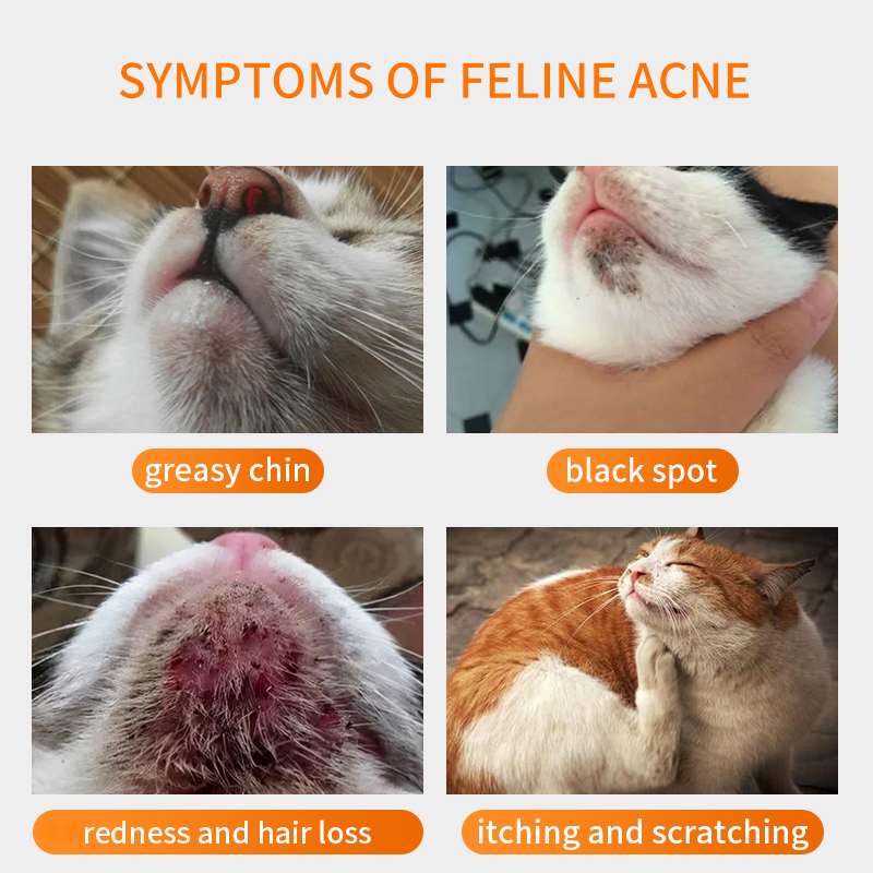PUAINTA Black Chin Cleanser For Cat Cleaning Greasy Oily Tail Feline ...