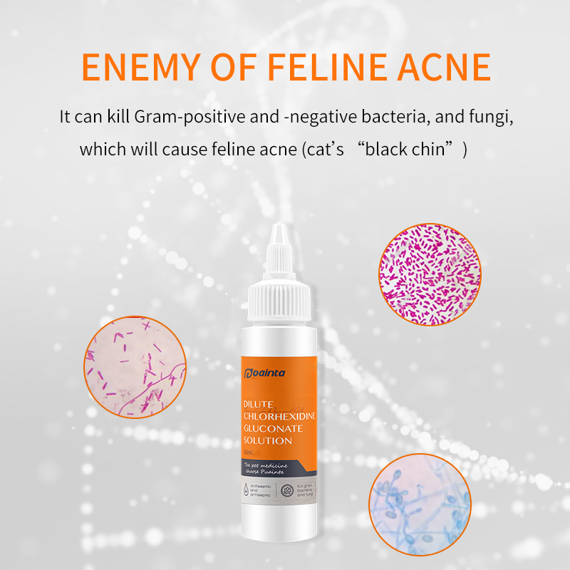 PUAINTA Black Chin Cleanser For Cat Cleaning Greasy Oily Tail Feline ...