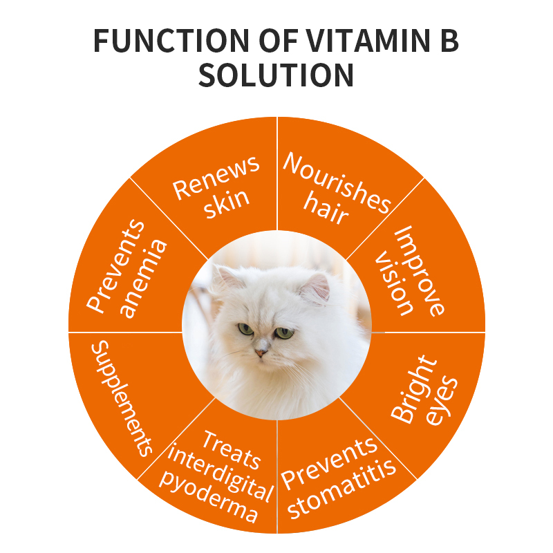 PUAINTA Vitamin B complex for Cats Dogs Supplements Increase Appetite ...