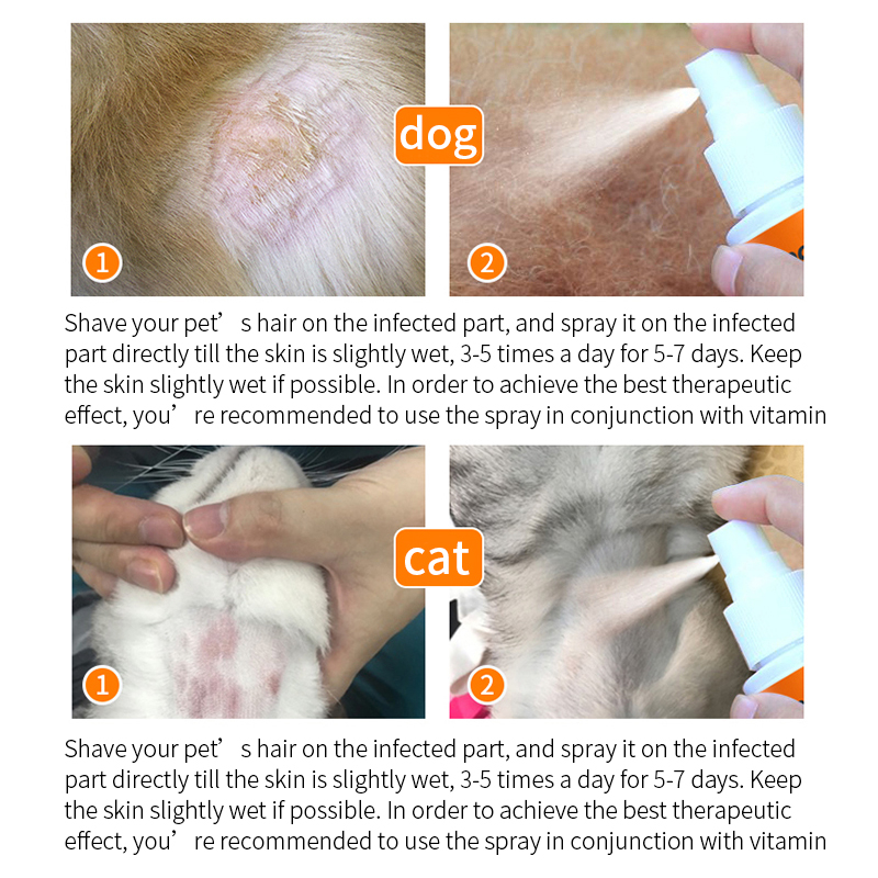 PUAINTA Pipot Antifungal Skin Spray 50ml For Dogs And Cat Skin Disease ...