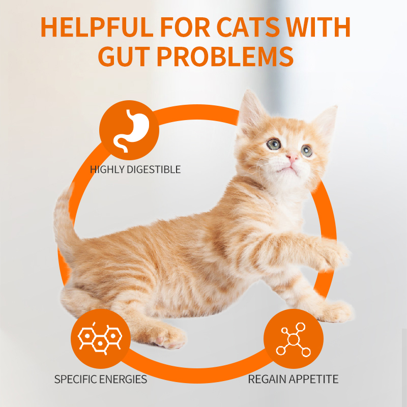 PUAINTA Cat intestinal full price prescription food nutritional ...