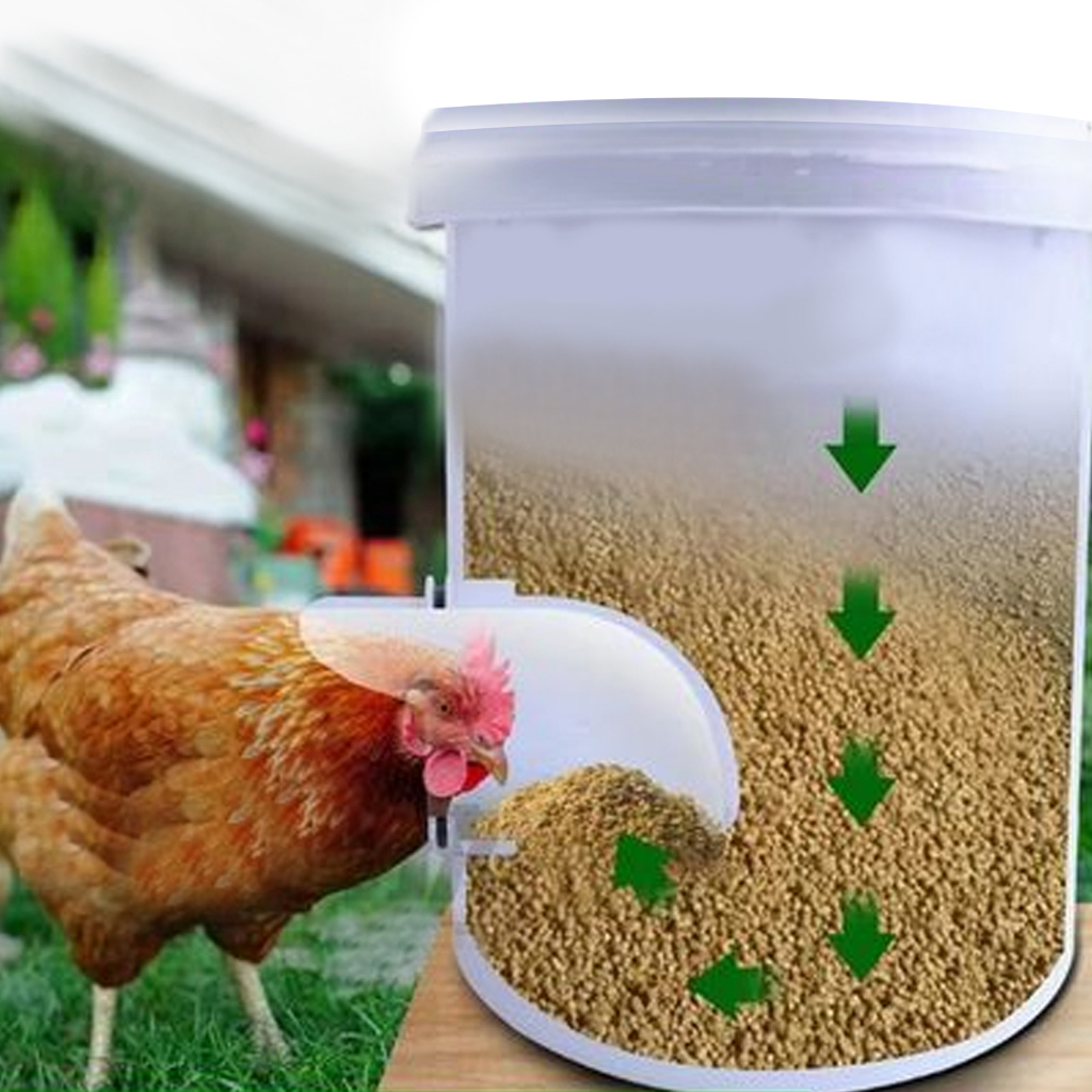 10L Blue Chicken Duck Goose Bucket Chicken Feeder and Waterer Kit with ...