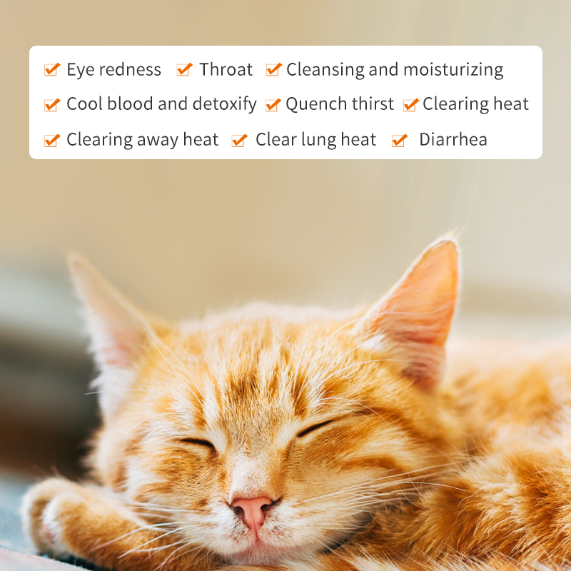 PUAINTA Pet Heat Clearing Fire Purging Body Odor Tear Marks Eye ...