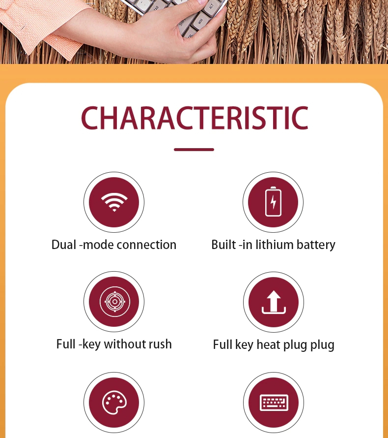 Aigo A100 Gaming Mechanical Keyboard 2.4G Wireless USB Type-c Wired ...