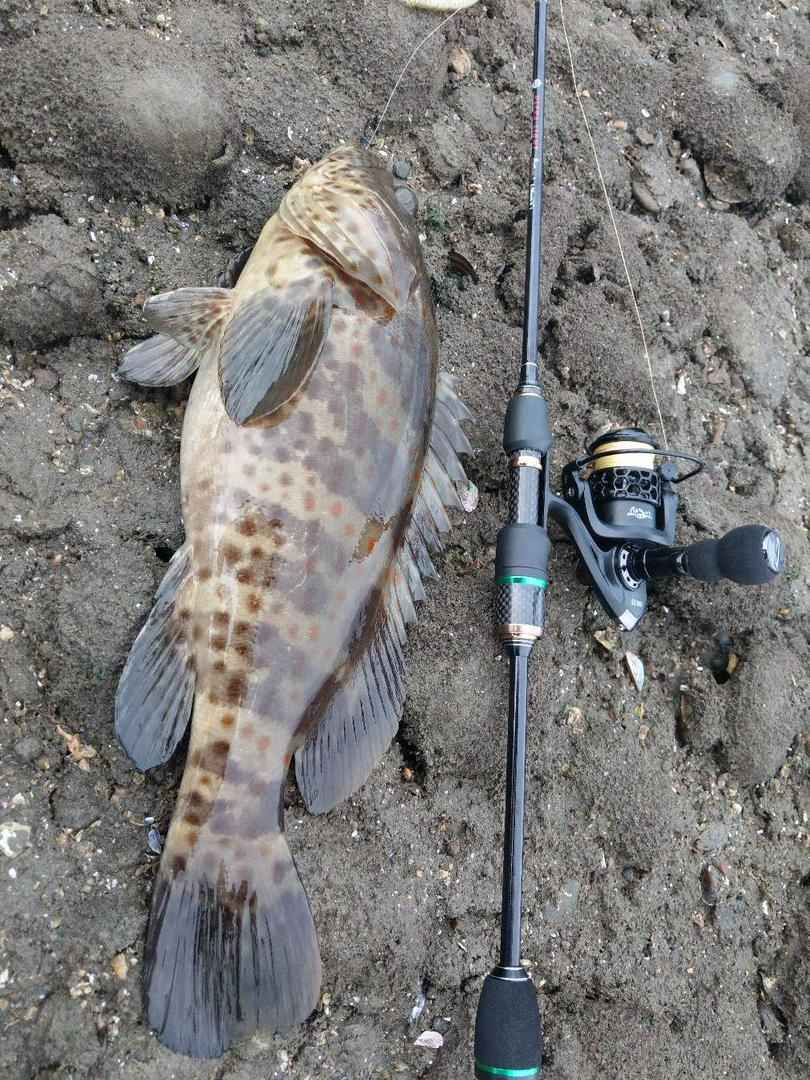 Artemis UL Flexible Fishing Rod 1.5m-1.98m Power Fishing Rod Solid Tip ...