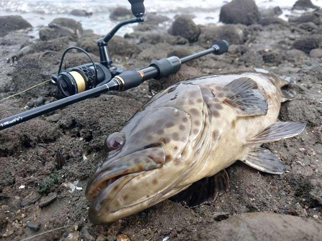 Artemis UL Flexible Fishing Rod 1.5m-1.98m Power Fishing Rod Solid Tip ...