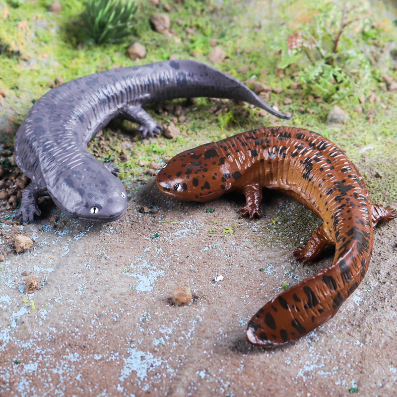 Marine salmon globefish piranha mudskipper tropical fish simulation ...