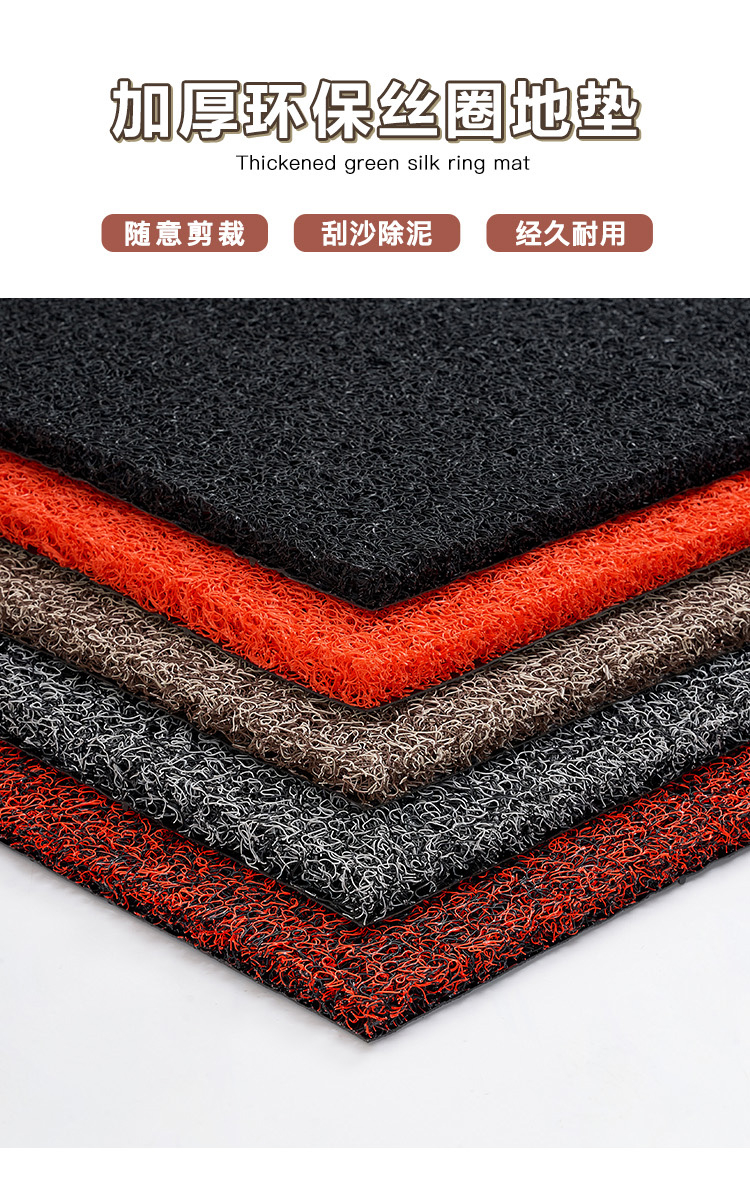 🔥Free shipping🔥Thick Carpet Heavy Dust Removal Rug Entrance Doormat ...
