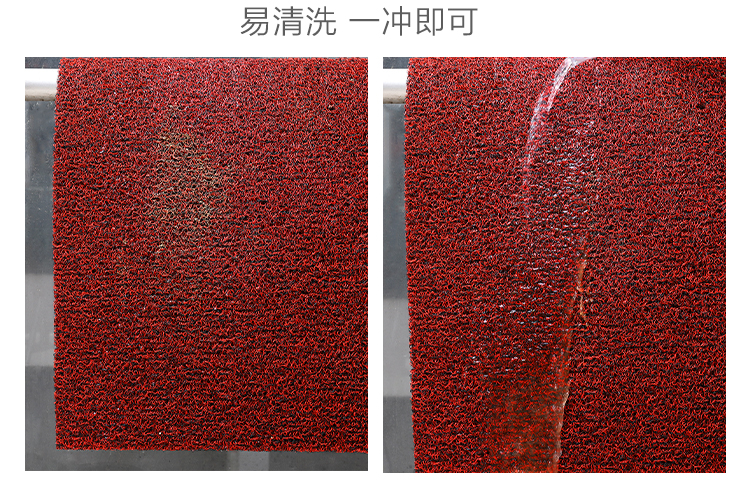 🔥Free shipping🔥Thick Carpet Heavy Dust Removal Rug Entrance Doormat ...