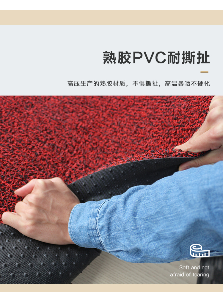 🔥Free shipping🔥Thick Carpet Heavy Dust Removal Rug Entrance Doormat ...