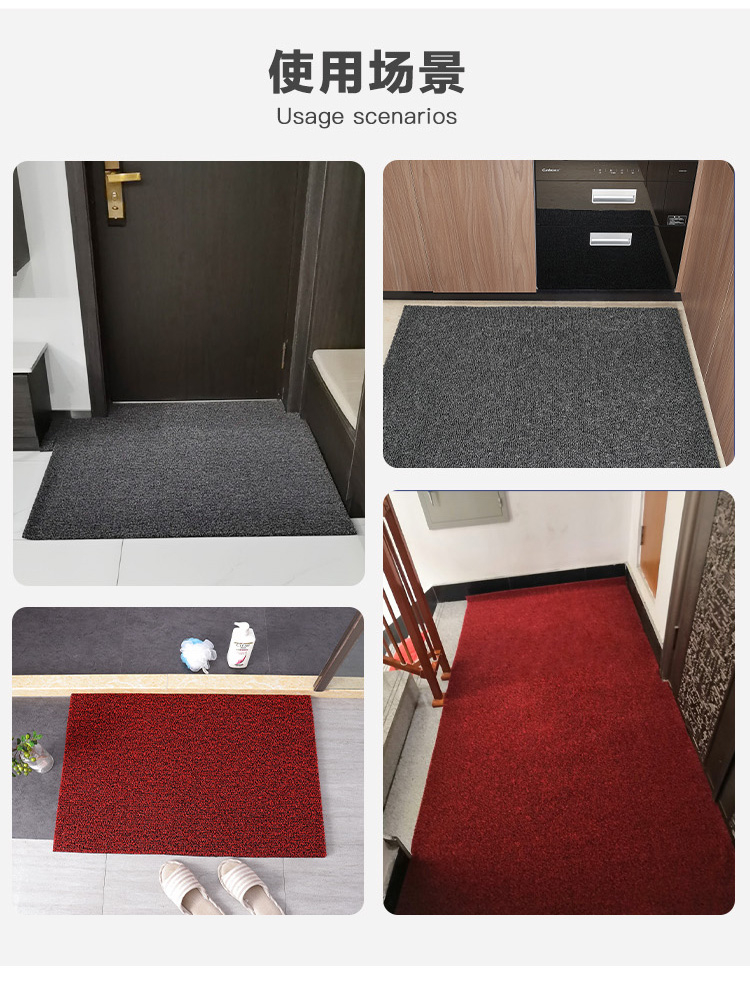 🔥Free shipping🔥Thick Carpet Heavy Dust Removal Rug Entrance Doormat ...