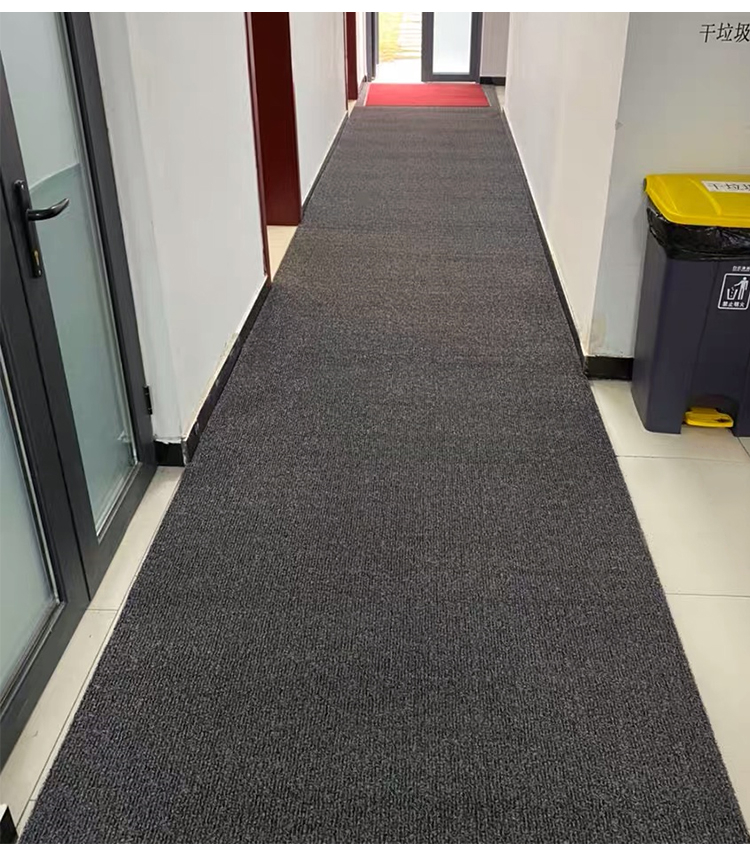 🔥Free shipping🔥Thick Carpet Heavy Dust Removal Rug Entrance Doormat ...