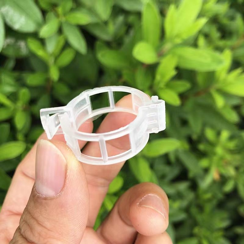 TAROW Plant Support Garden Clips Vine Vegetables Tomato Trellis Clips ...
