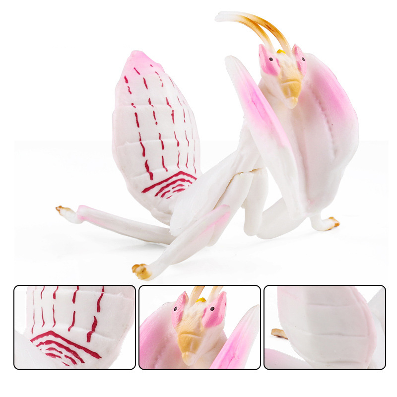 Insect Orchid Mantis Simulation Model Children Science Education Toys ...
