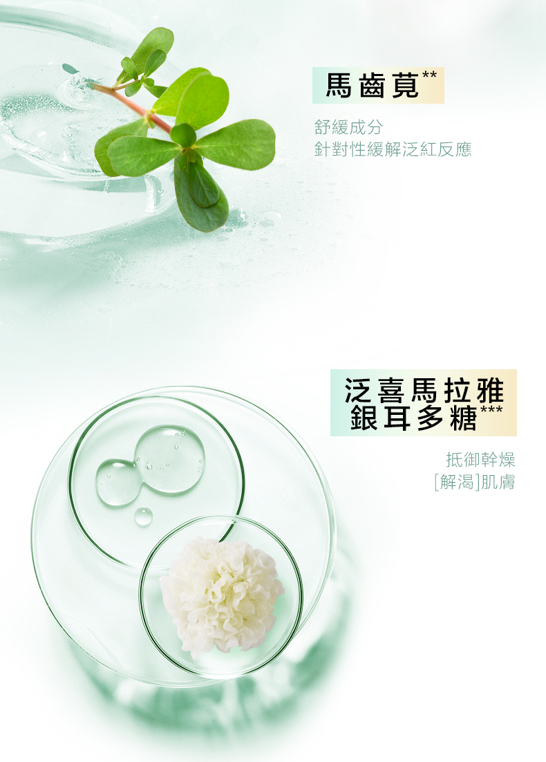 CHANDO Himalaya Efficacy Freeze-Dried Mask 5PCS | Shopee Malaysia