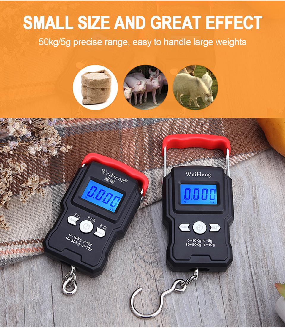 50kg/5g Mini Electronic Weighing Scale with Backlight LCD Accurate ...