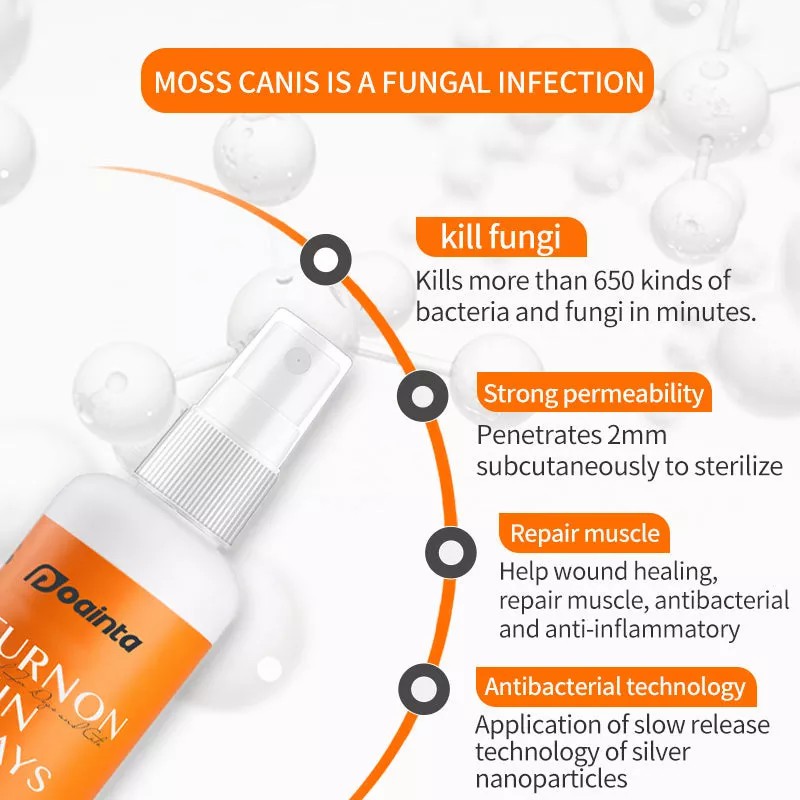 Puainta Pipot Anti-Fungal Skin Spray for Cat Dog Skin Itch Relief ...