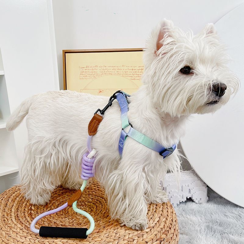 Pet harness with leash Adjustable large medium and small dog universal ...