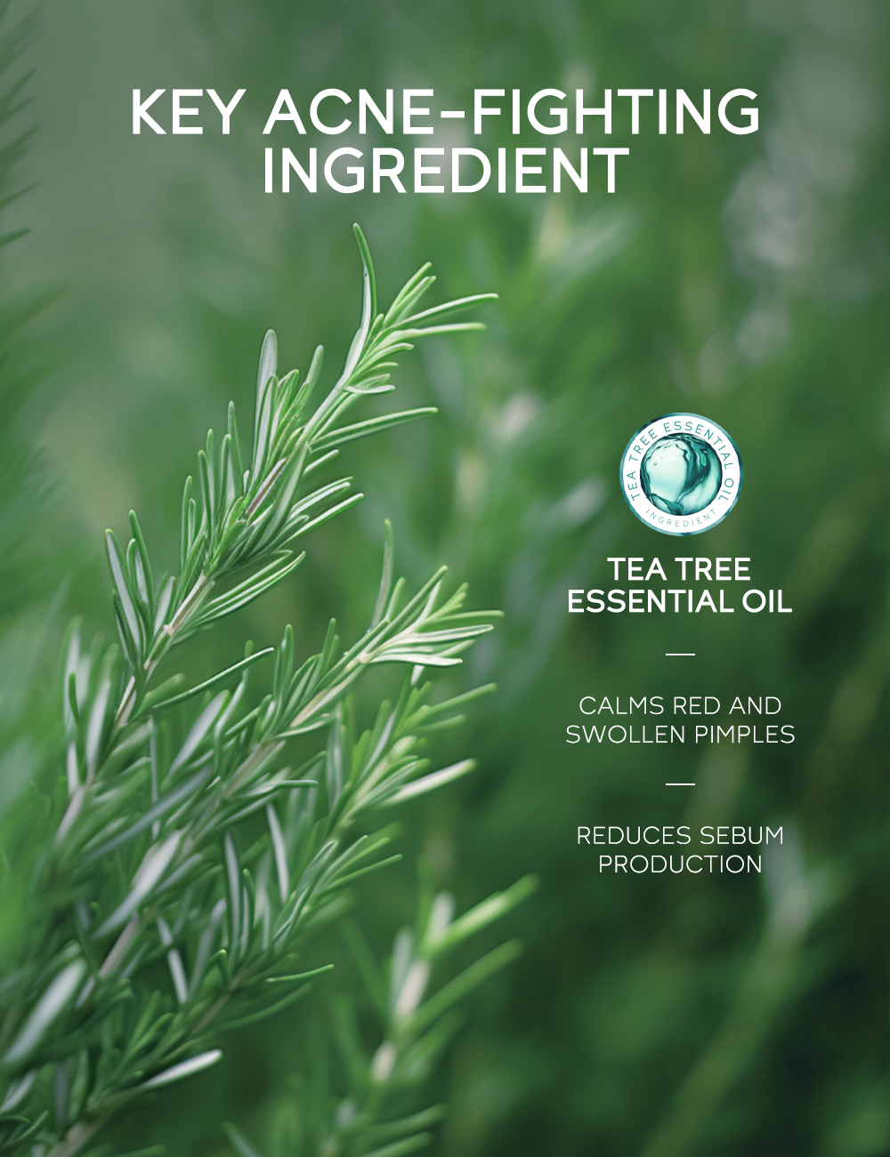 LAIKOU Australia Tea Tree Acne Gel Lighten Acne Marks Repairing Oil ...