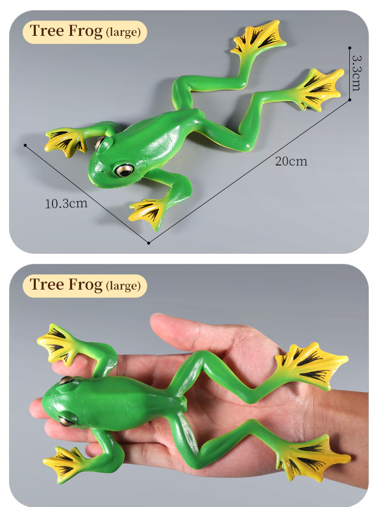 Wild Animals Bullfrog Model Solid Simulation Tadpole Hatch Frog Growth ...