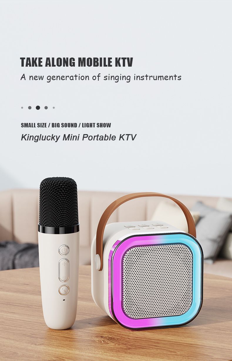 SPRISE Karaoke Mini Bluetooth Speaker Wireless Portable With Mic Home ...