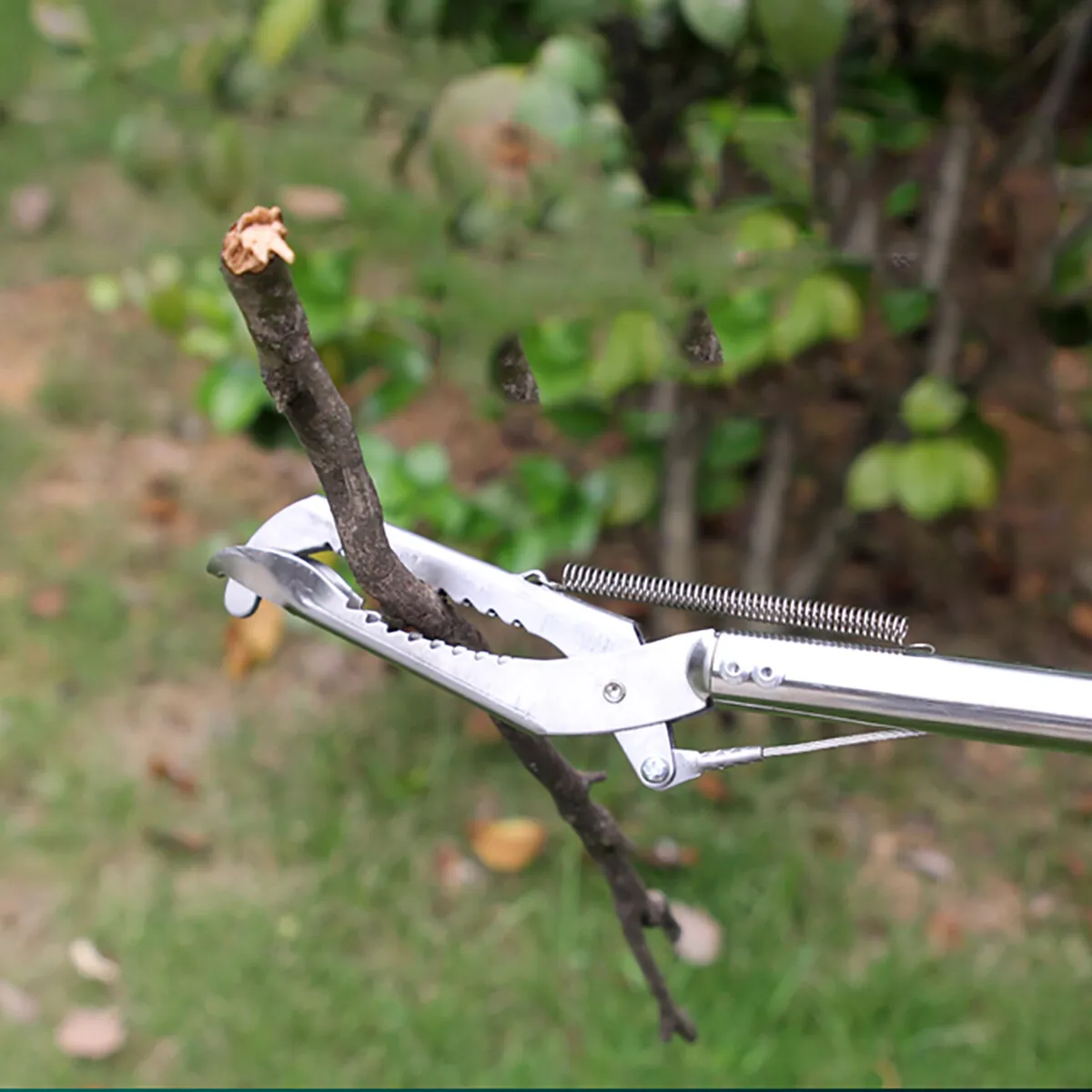 【Malaysia Ready Stock】1.5m Stainless Steel Foldable Snake Catcher Snake ...