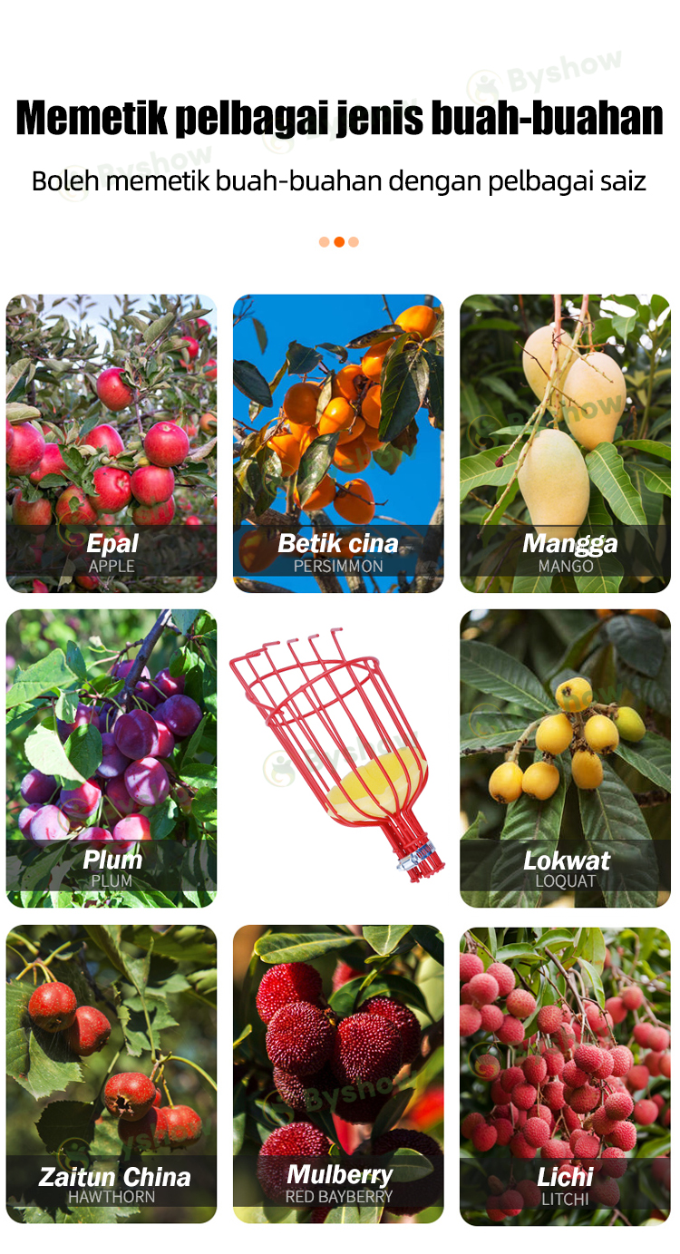 【Byshow】Height Adjustable Multifunction Fruit Picker net Basket Tool ...