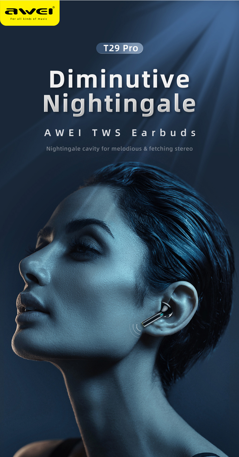 Awei T29 Pro TWS Wireless Earphone 5.3 Bluetooth Earbud In-Ear Touch Control IPX6 Waterproof HD ...