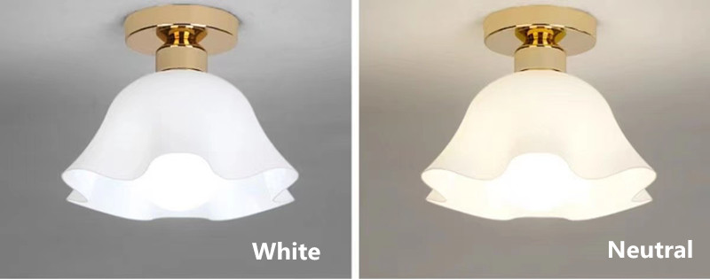 Modern Ceiling Light,Simple Chandelier,Home Coriddor Lamp,Living Room ...