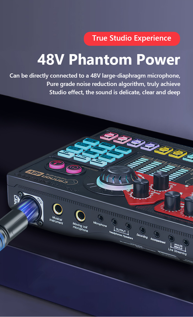 X5 Sound Card Mid-High Bass Adjustable Bluetooth Connectivity 48V ...