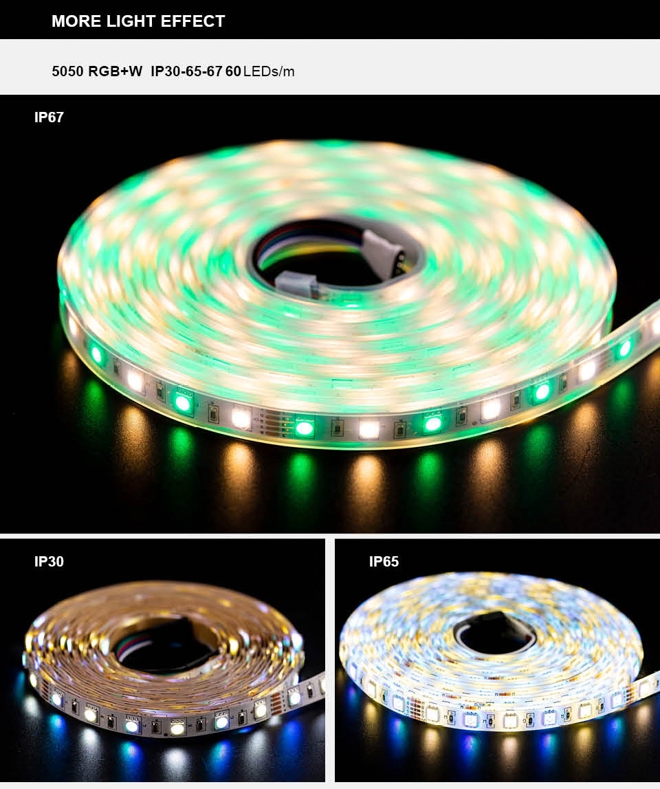 BTF-LIGHTING 5m 12V/24V 5050 RGBW 4in1 Led Lights 4pin RGBWW RGBCW Led ...