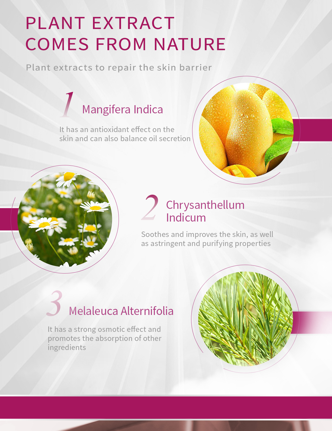 RtopR Mango Blackhead Remover Mask Deep Cleans Pores Shrink Pores ...