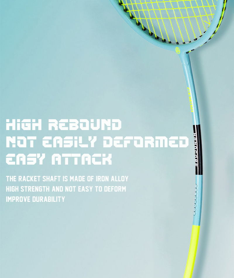 ALPSPORT Gemini 2Pcs 4U G5 100% Carbon Fiber Badminton Racket Original ...