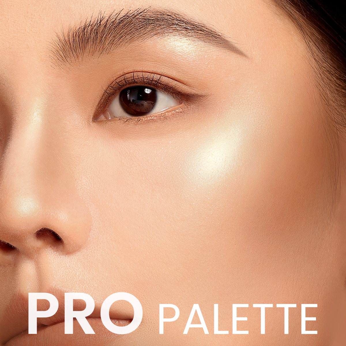 FOCALLURE Pro-palette DIY 3D Sculptor Highlight Contour Fine Powder ...
