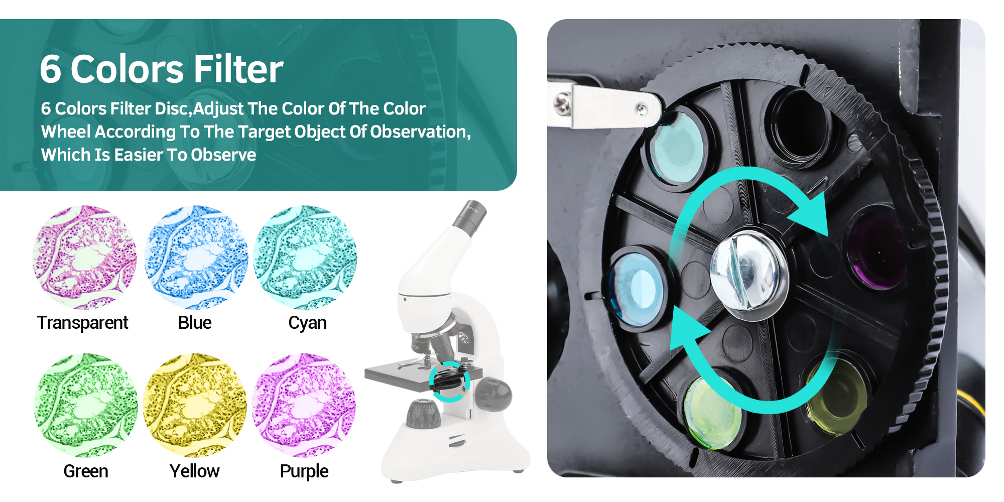 USCAMEL 40x-2000x Biological Microscope Beginner Microscope Lab Kit ...