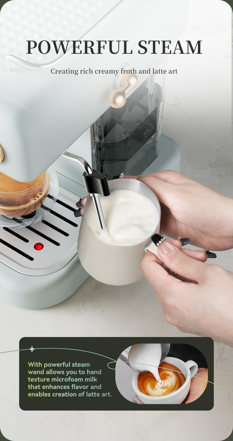Petrus Coffee Machine 20 Bar Semi-Auto Espresso Machine With Steam Milk ...