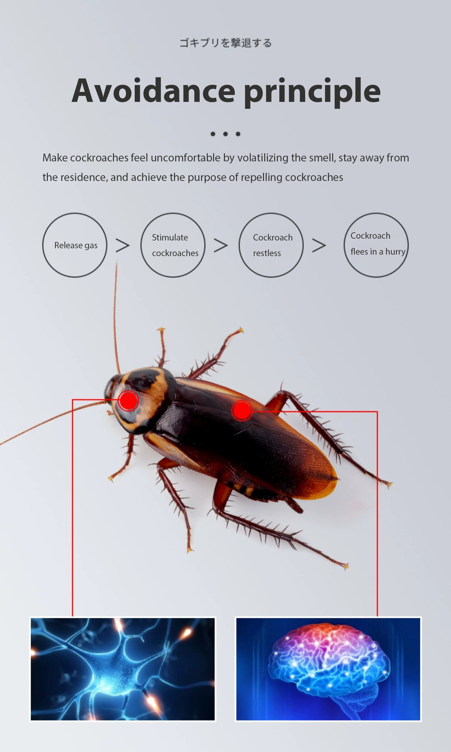 【Buy 1 Take 1】Van Cockroach repellent Cockroach killer Cockroach trap ...