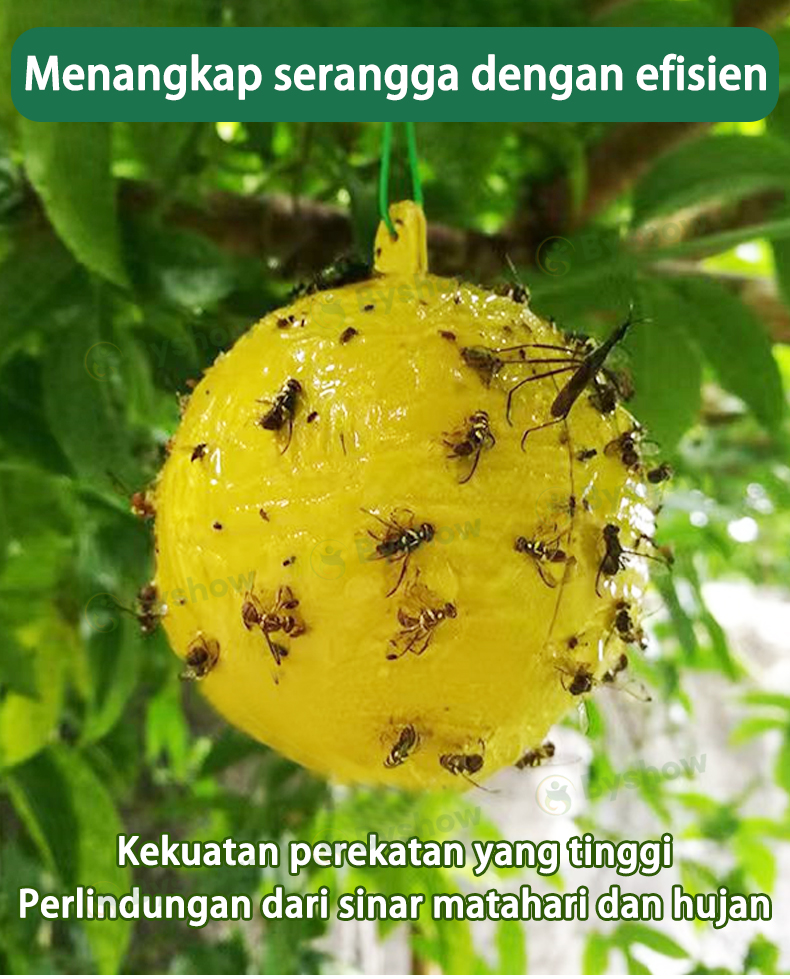 【Byshow】🔥Malaysia In Stock🔥 Sticky Trap Ball Fruit Fly White Flies ...