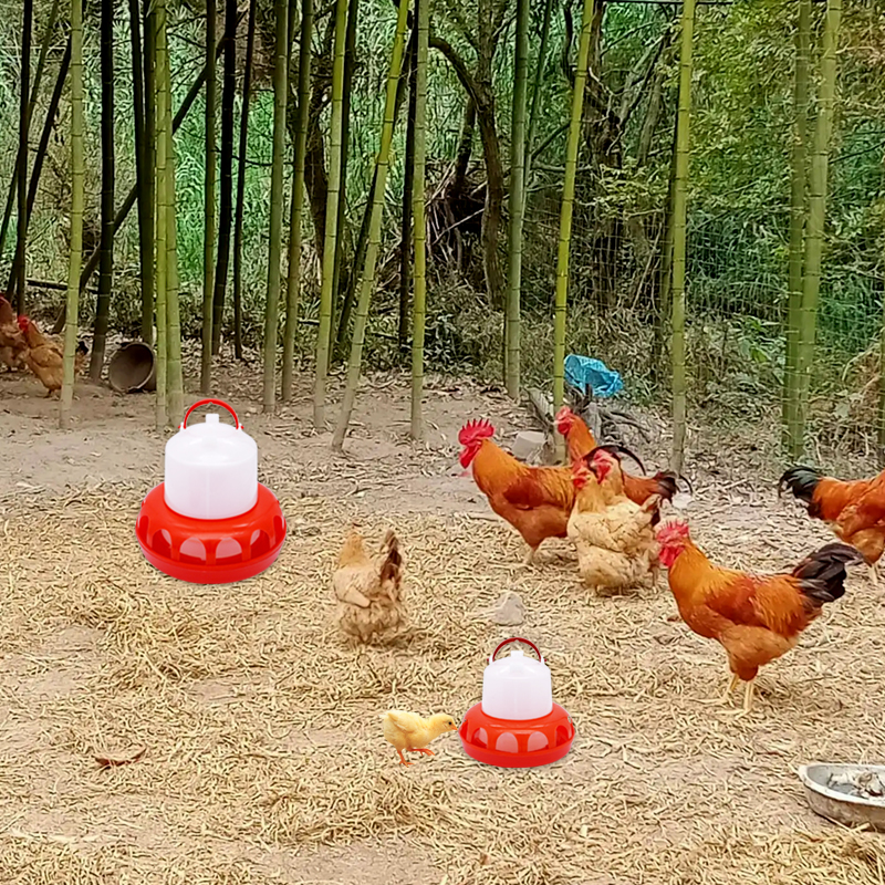 【Ready stock】1Kg/3Kg Automatic Chicken Water Pot Chick Drinker With ...