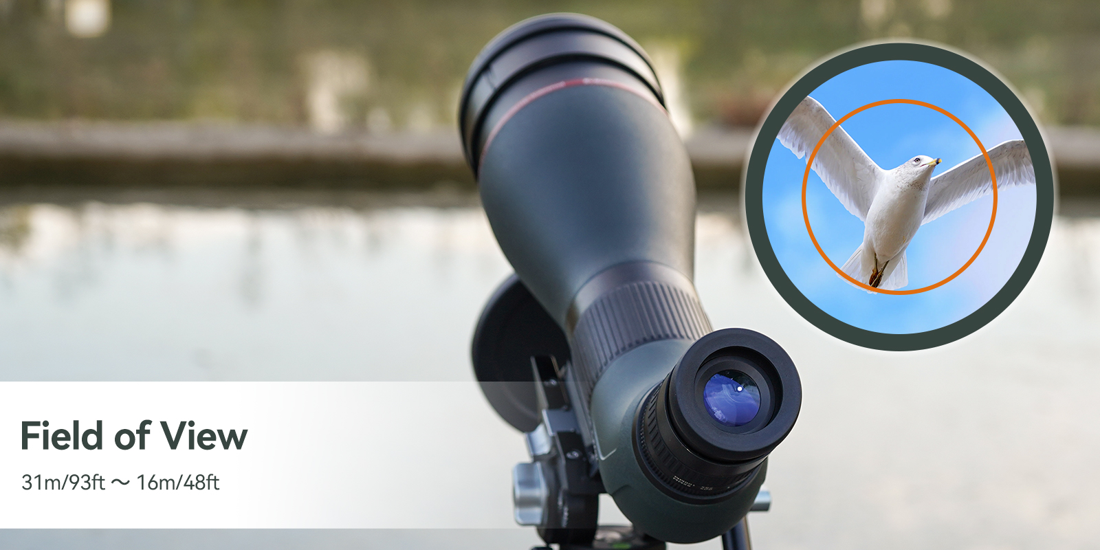 SVBONY Double ED Glasses APO Telescopic Sight Professional Scope SA401 ...