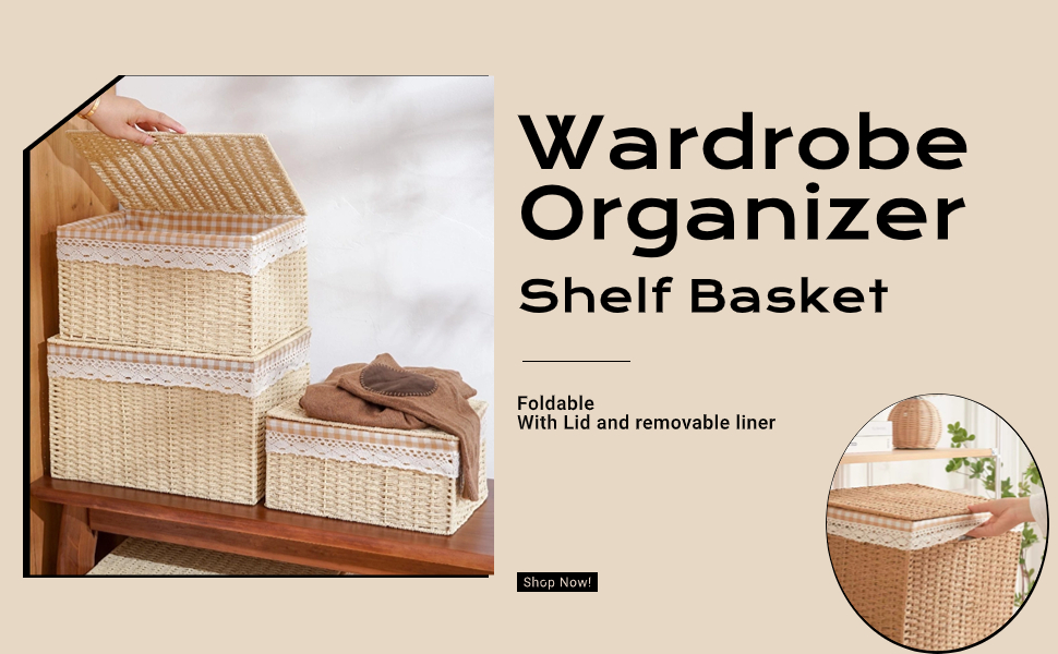 Ready Stock⚫SONDER⚫ Foldable Storage Basket with Lid & Handle for ...