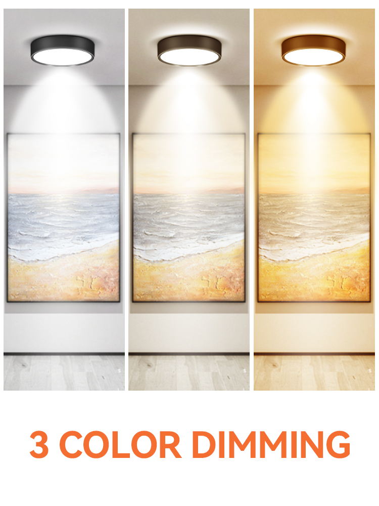 CANMEIJIA Tri-color Downlight Led Lampu Spot Light Surface Mount 5W 10W ...